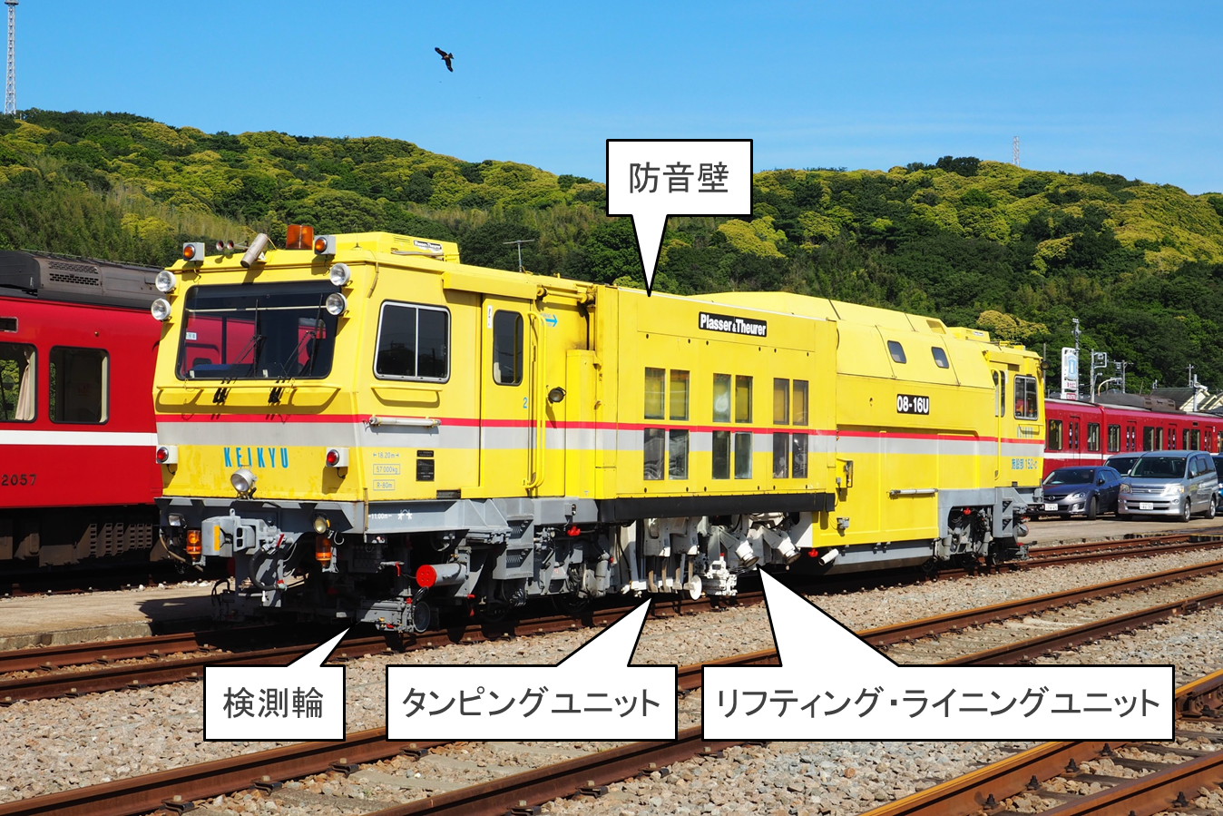 08_マルチプルタイタンパー | MCDB