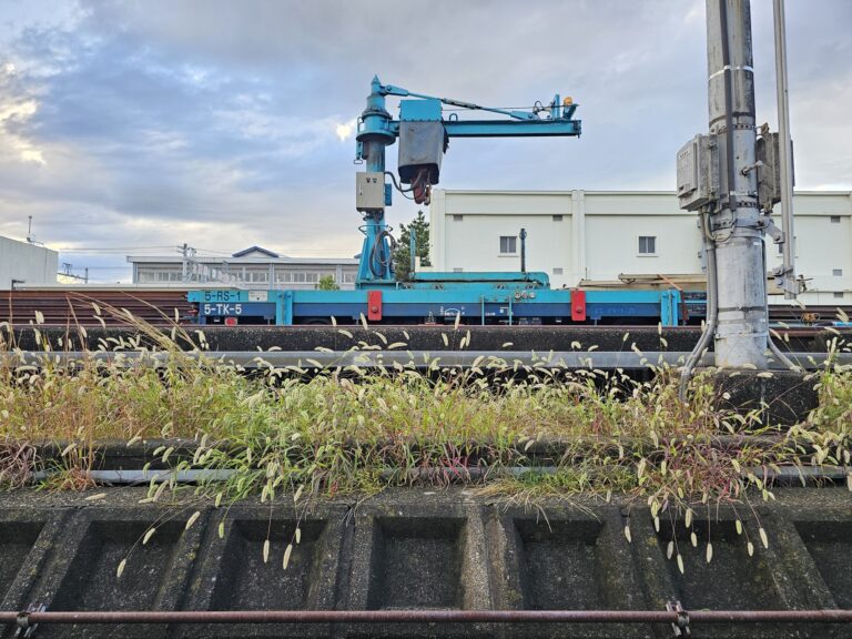 スマホの光学10倍ズームを試す | MCDB